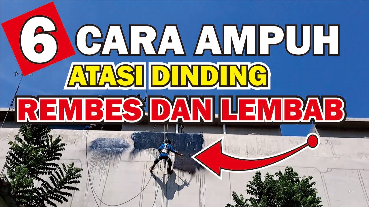 6 Cara Ampuh Atasi Dinding Rembes dan Lembab