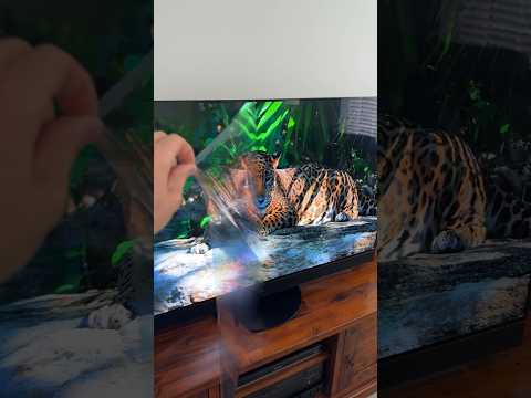 The NEW Panasonic GZ1500 4K OLED TV (TX-55GZ1500, TX-65GZ1500) #panasonic #oled #tv #panasonictv