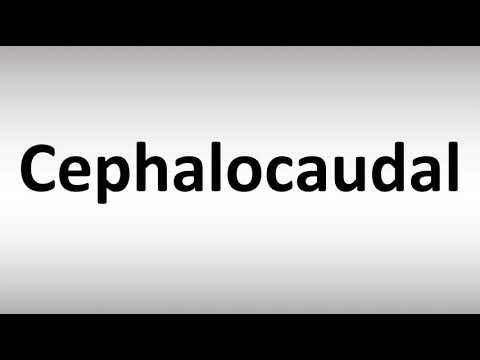 How to Pronounce Cephalocaudal