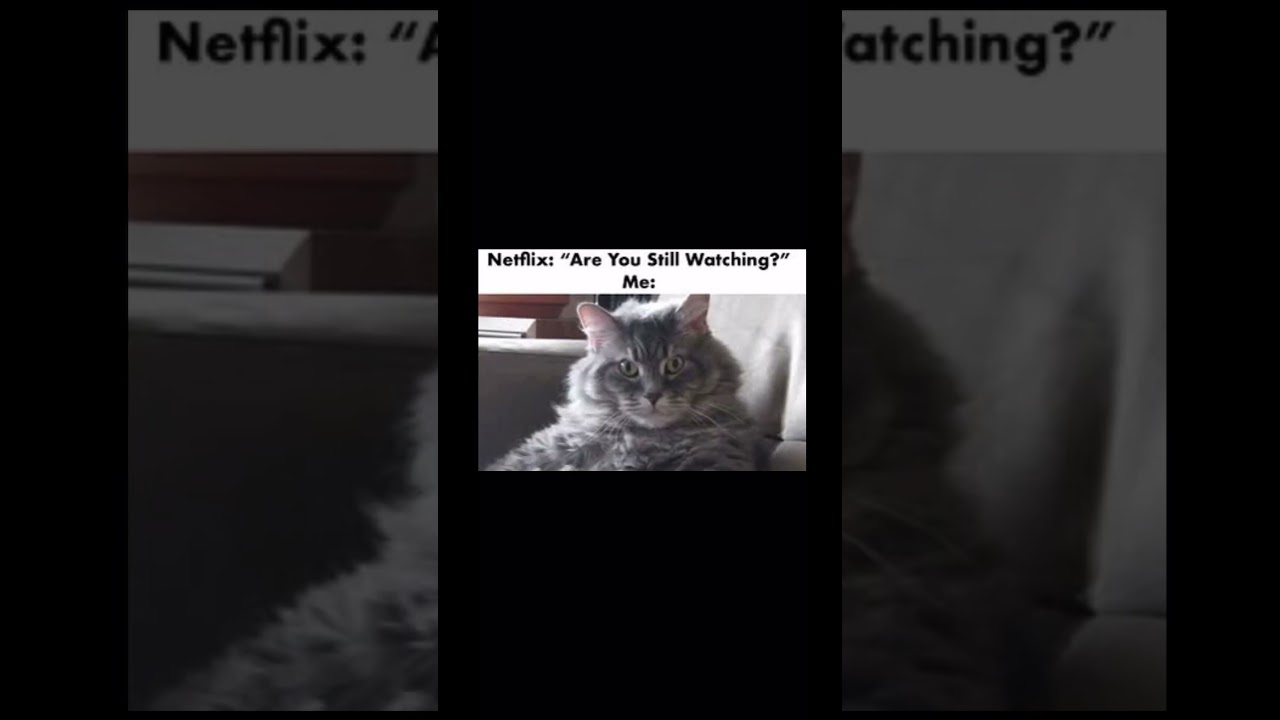 More memes(that scroll)