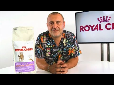 Alimentación para gatos esterilizados - Mascoteros