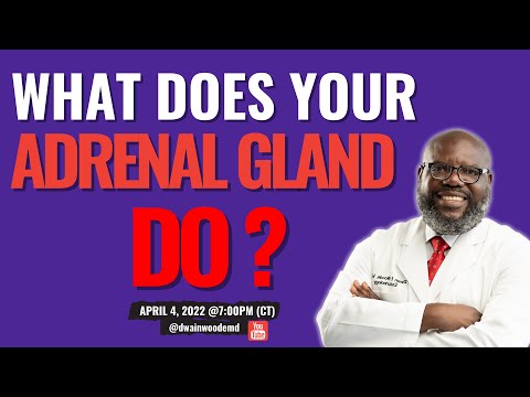 What are the functions of your adrenal gland