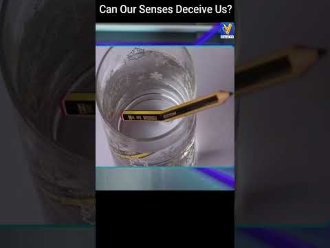Can Our Senses Deceive Us? | Research Methods in Education | VU | Shorts