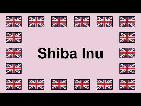 Pronounce SHIBA INU in English ๐ฌ๐ง