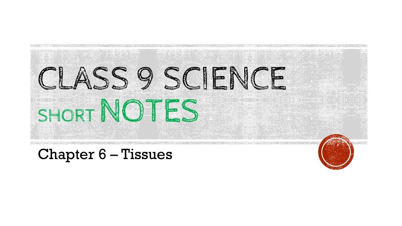 Class 9 Science short Notes Chapter 6 - Tissues