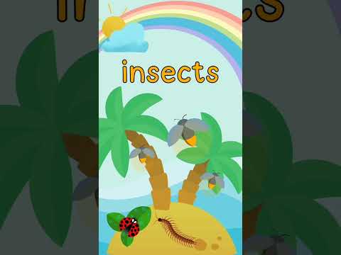 Words That Begin With Letter Ii #alphabet #vocabulary #English #educational #learning #kids
