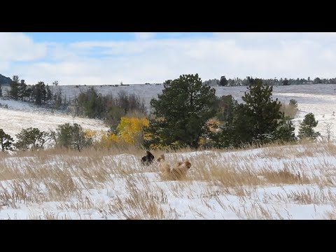 Global Boiling – Day 78 | Real Climate Science