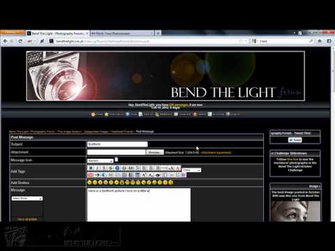 Insert Flickr image into BTL.wmv