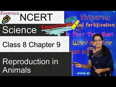 NCERT Class 8 Science Chapter 9: Reproduction in Animals - English ...