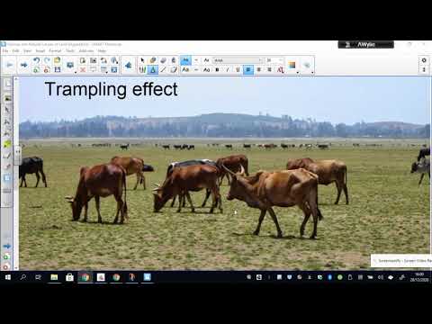 Human and Physical Causes of Land Degradation