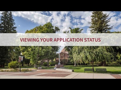 How to Check Your Application Status