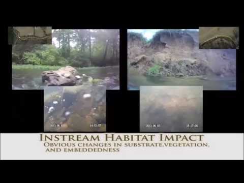 Overview of the High Definition Stream Survey Method