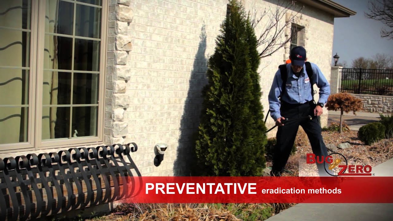Bug Zero Pest Prevention