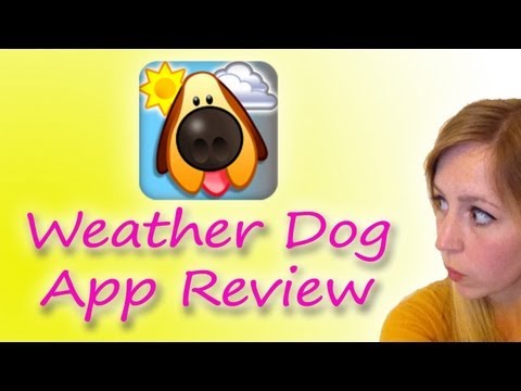 WEATHER DOG APP REVIEW!!!