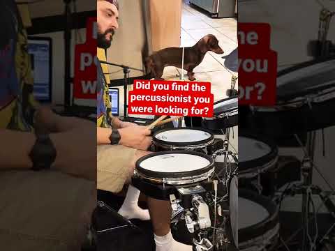 Looking for band members on Craigslist be like… #shorts