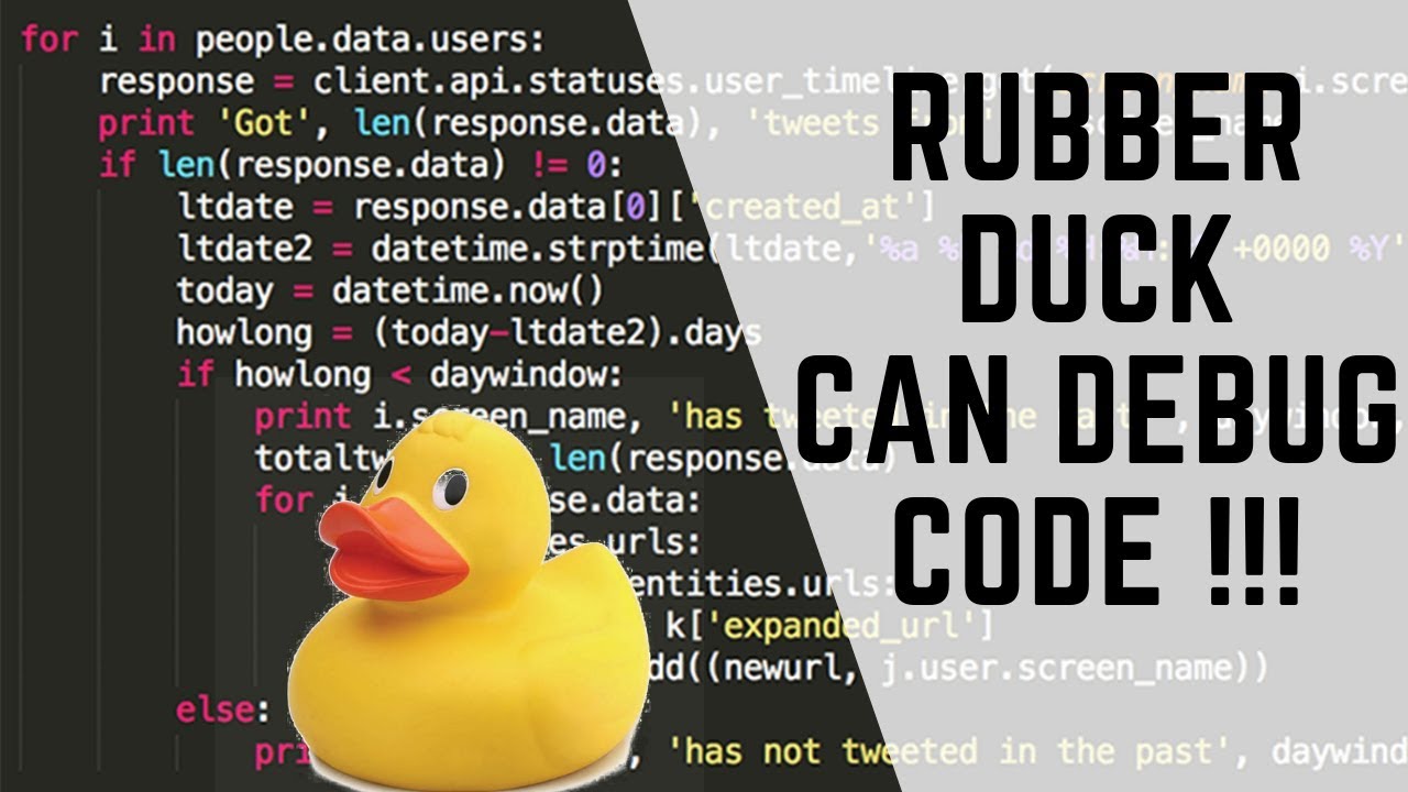 This Rubber Duck can Debug your code !!