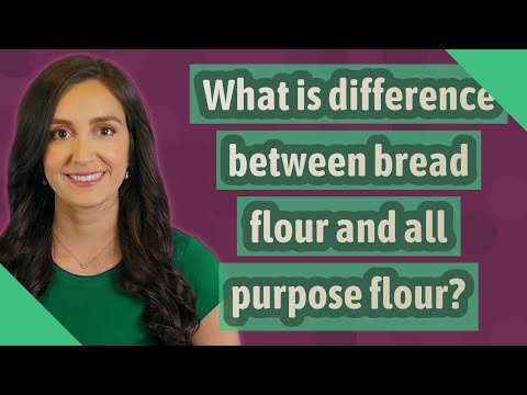 What is difference between bread flour and all purpose flour?