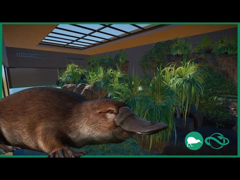 Steam Community :: Video :: platypus habitat in an amazing Oceania ...