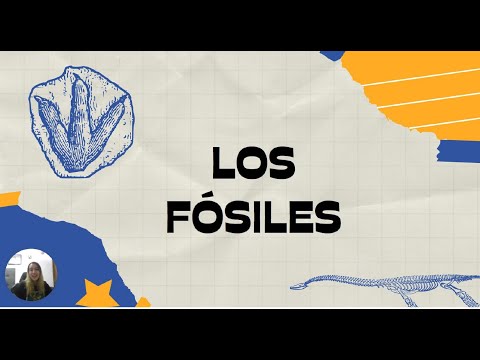 Vídeo argumentativo sobre ejemplo de constructivismo y explicación del mismo.