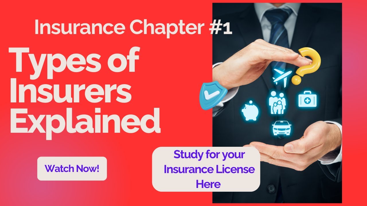 101 - Types of Insurers Explained