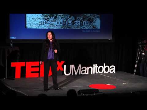 Bird Brain -- fact or fiction? | Debbie Kelly | TEDxUManitoba