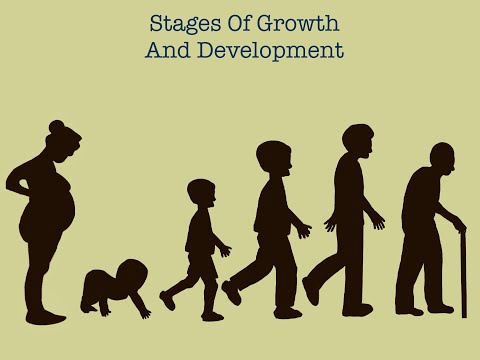 Stages Of Human Growth And Development