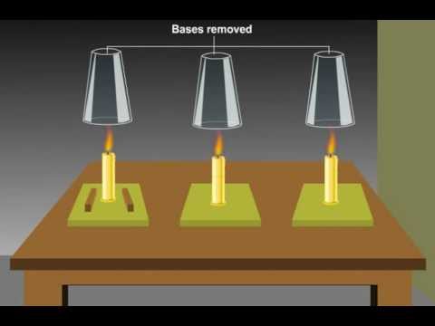 Combustion - Why is Oxygen necessary for Combustion, Class 8 Science ...