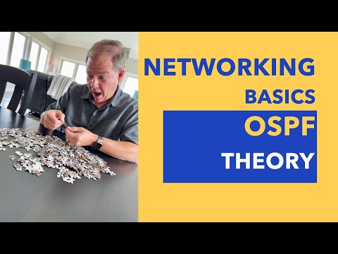 Networking Basics - OSPF Theory