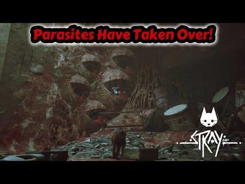 Steam Community :: Video :: Can We Survive Parasites And Get To Earth's ...