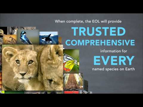 What is the Encyclopedia of Life?