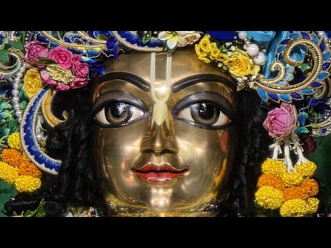 Dayal Nitai Chaytunnya bole Nachare, Bhakti Briksha Program in Bahrain Devotes with Maha Shankirtan