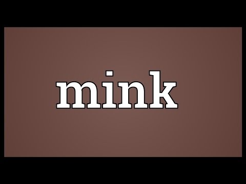 Mink Meaning