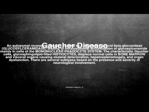 Medical vocabulary: What does Gaucher Disease mean