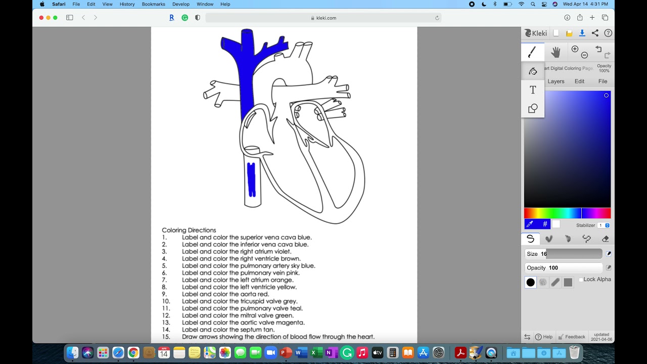 Digital Coloring Pages - Kleki Tutorial