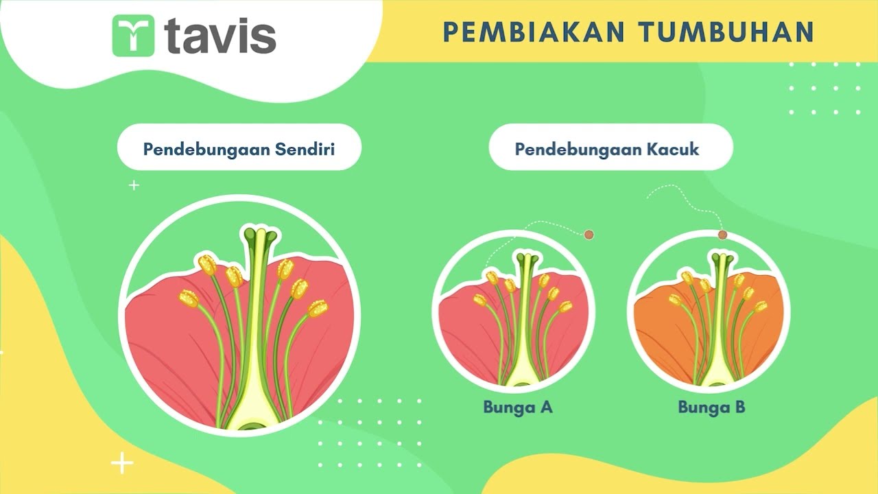 KSSM SAINS TINGKATAN 1 & BIOLOGI TINGKATAN 5 | BAB 1 & BAB 6  | PEMBIAKAN SEKS DLM TUMBUHAN BERBUNGA
