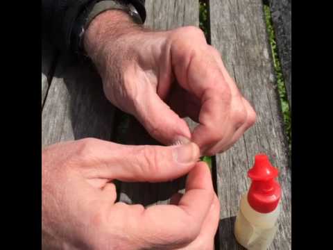 Expert Alaska Angler tip! How to prep your dry fly.