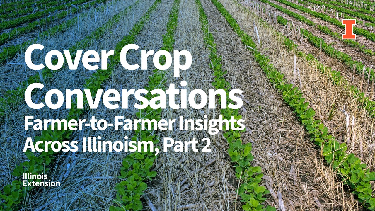 Cover Crop Conversations: Farmer-to-Farmer Insights Across Illinois - Part 2