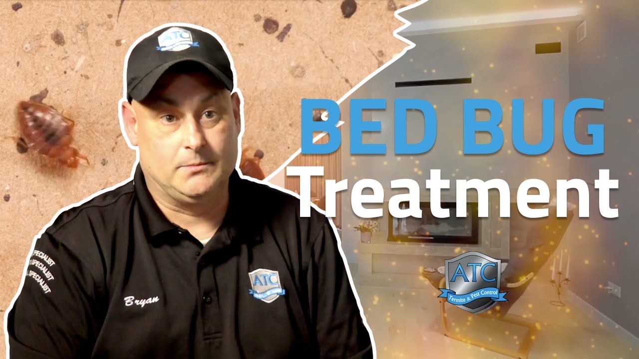 BED BUG TREATMENT BY ATC PEST CONTROL