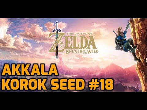The Legend of Zelda: Breath of the Wild - Akkala - Korok Seed #18
