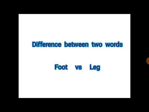 || Difference between Foot and Leg || Learn in Urdu || AR ENGLISH LAB