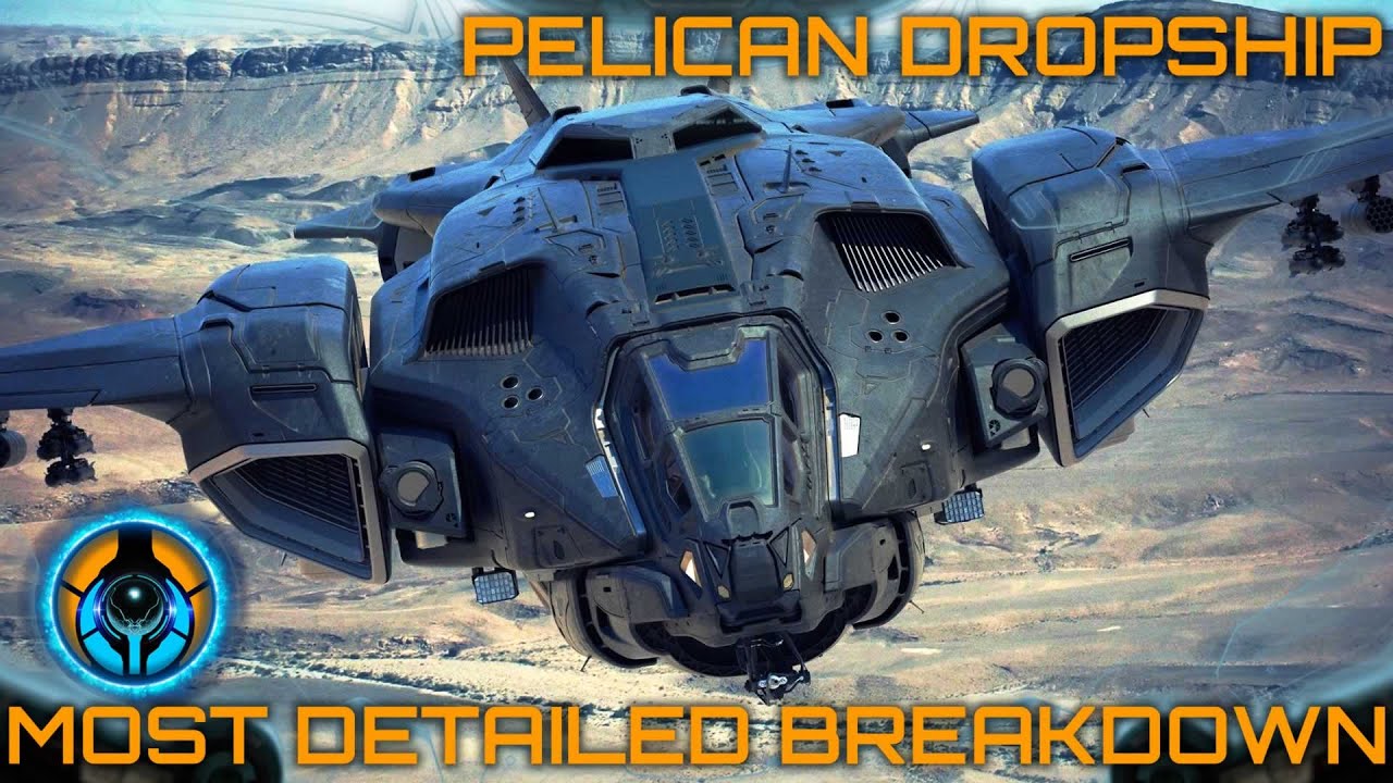 Pelican | Most Detailed Breakdown