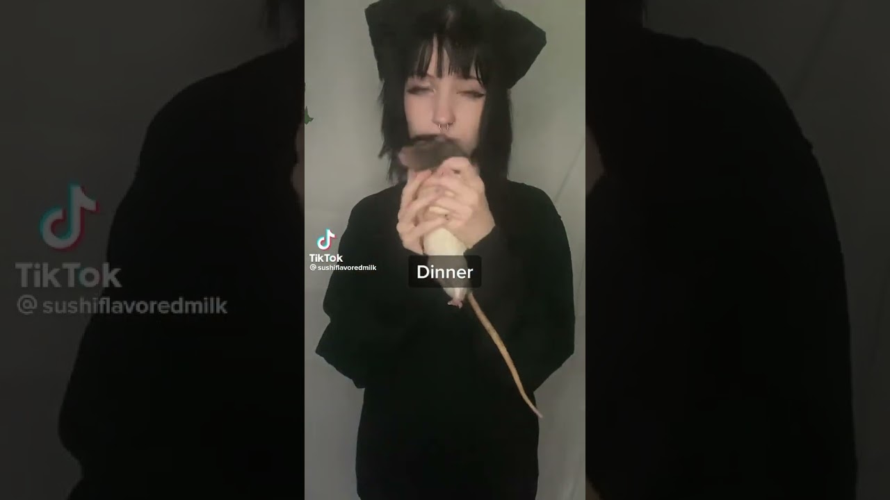 Sushiflavoredmilk vores a rat