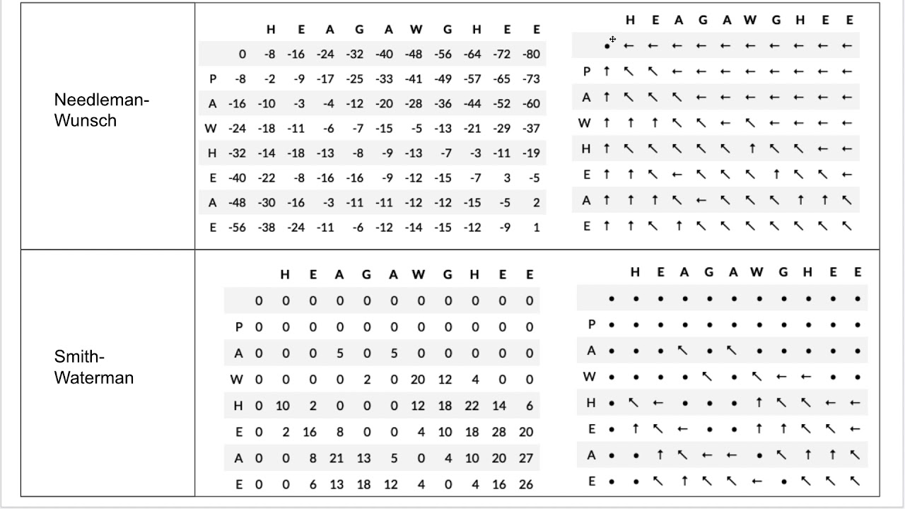 Pairwise Sequence Alignment (part 3)