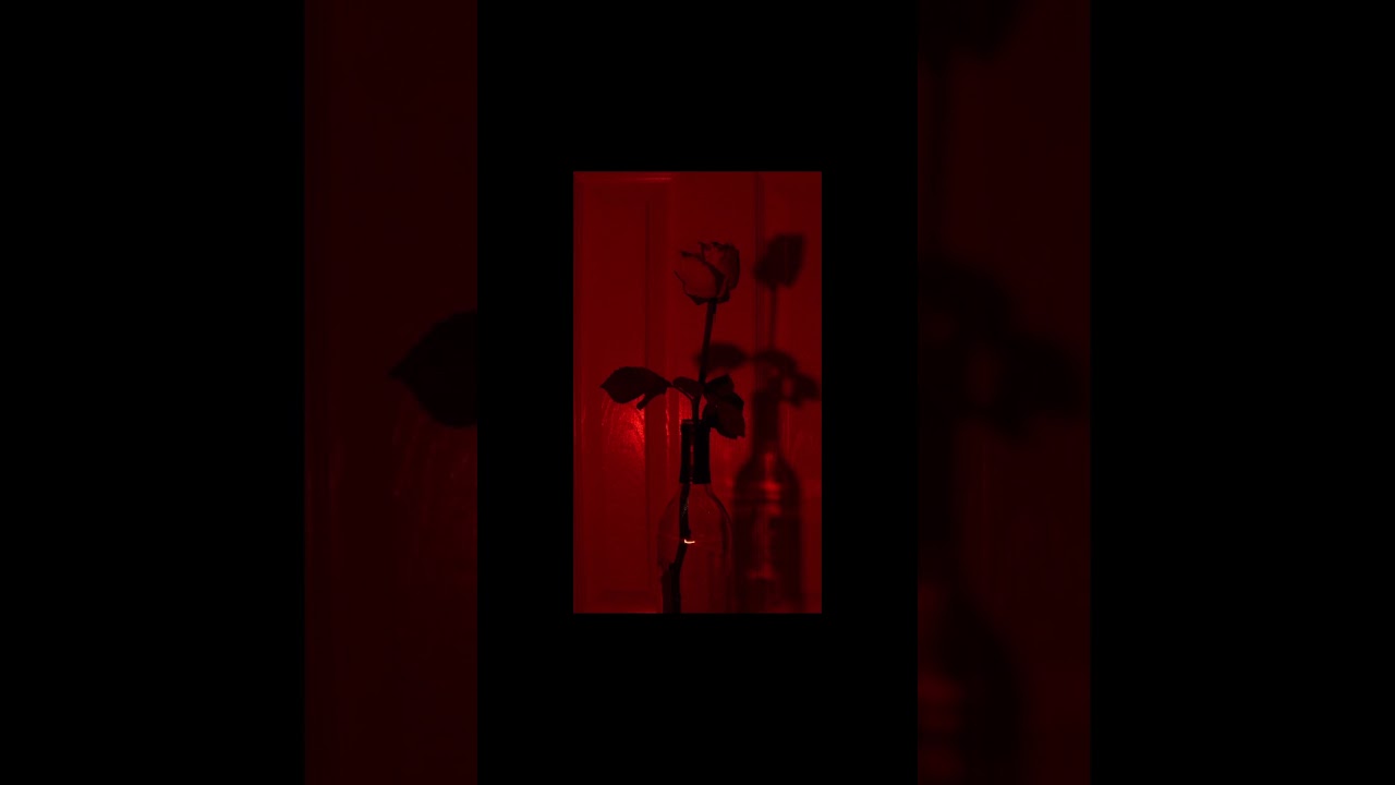 Aesthetic red wallpapers ❤️