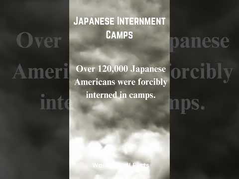 Uncovering the Truth: Japanese Internment Camps in WWII 🇯🇵🏕️ #JapaneseInternment #WWIIFacts #History