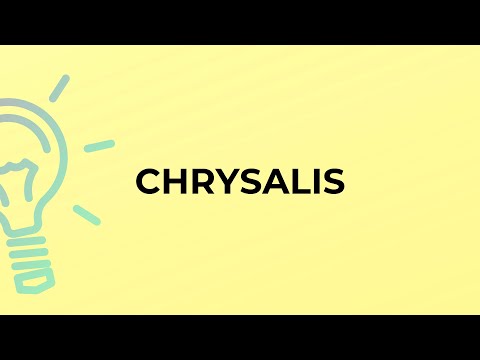 What is the meaning of the word CHRYSALIS?