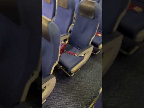 KLM economy class on the flight to Amsterdam #shorts #klm #economyclass #airplane #airport #like