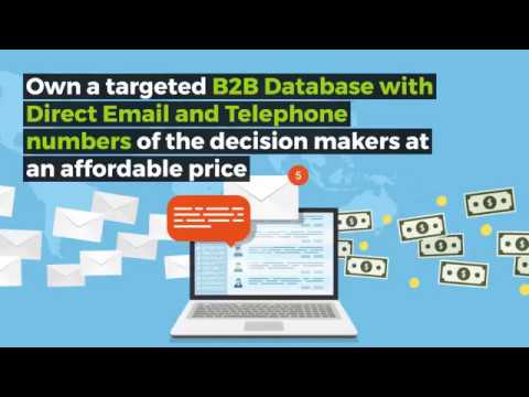 B2B Database provider - B2B Dataq
