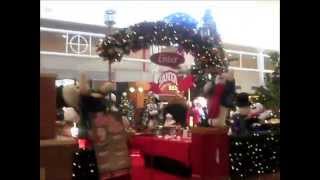 Vlog3: Edge Water Mall