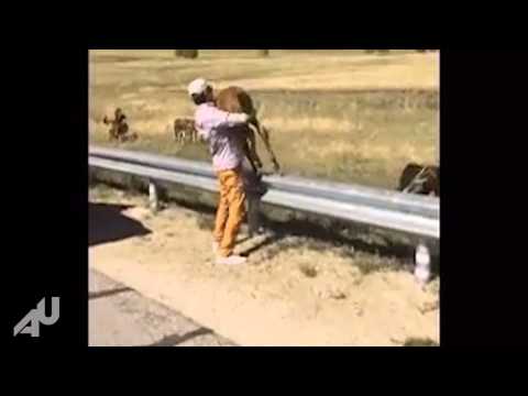 AWESOME GIF Compilation #3